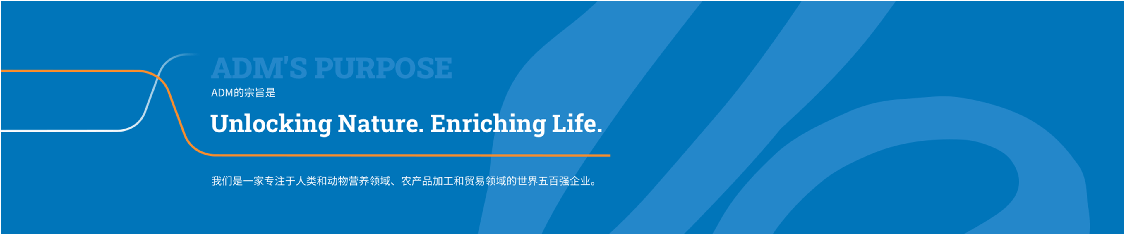 【艾地盟(上海)管理有限公司招聘信息】-猎聘