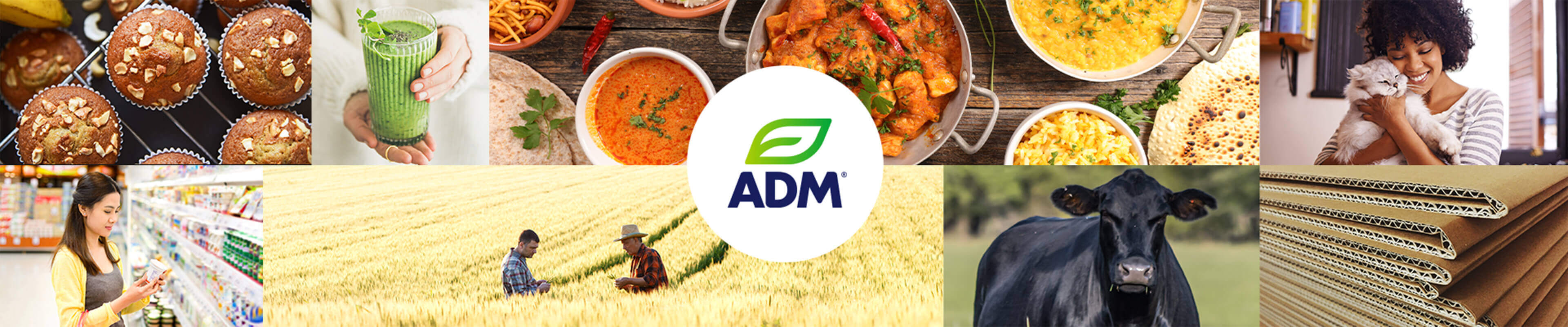 【艾地盟(上海)管理有限公司招聘】-猎聘